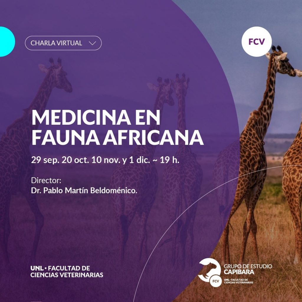 Medicina en Fauna Africana – Eventos Académicos
